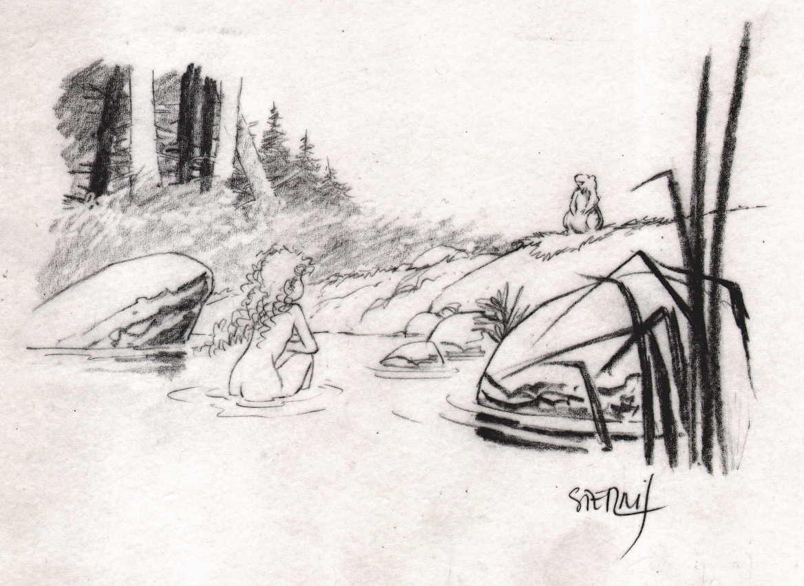 Pyrenee by Philippe Sternis - Comic Strip