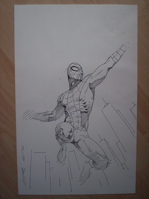 Spider Man Esad T Ribic Sketch