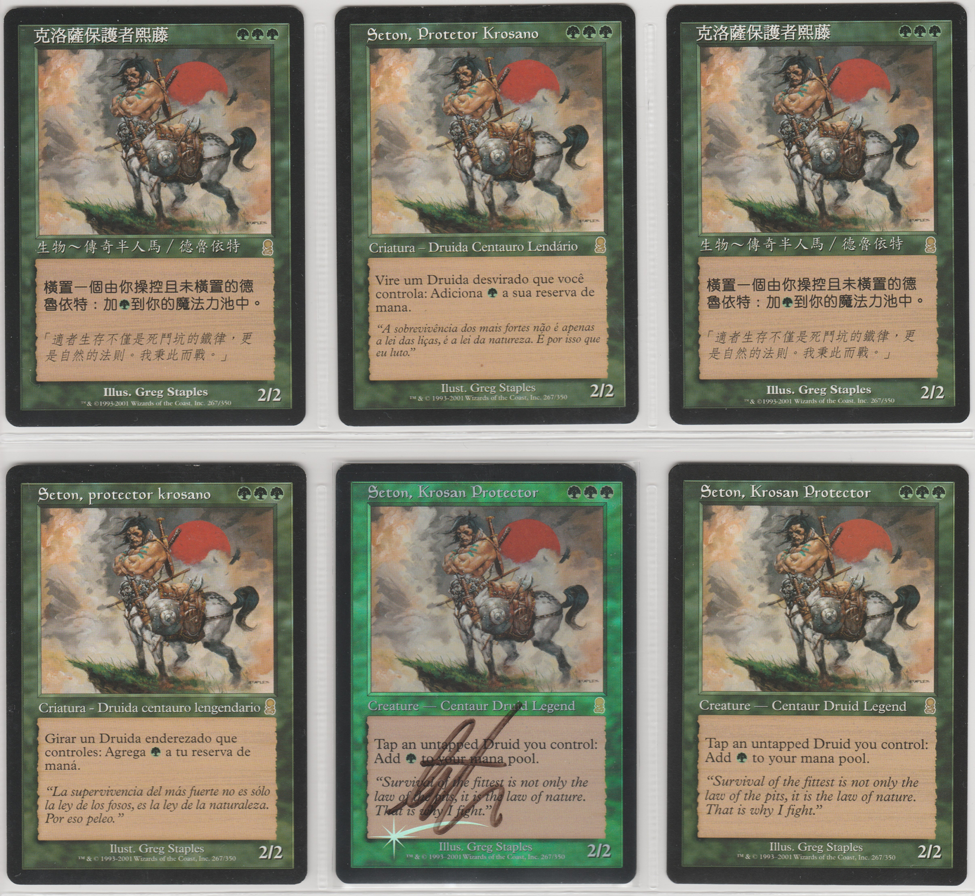 Greg Staples - MTG - Seton, Krosan Protector - Illustration originale