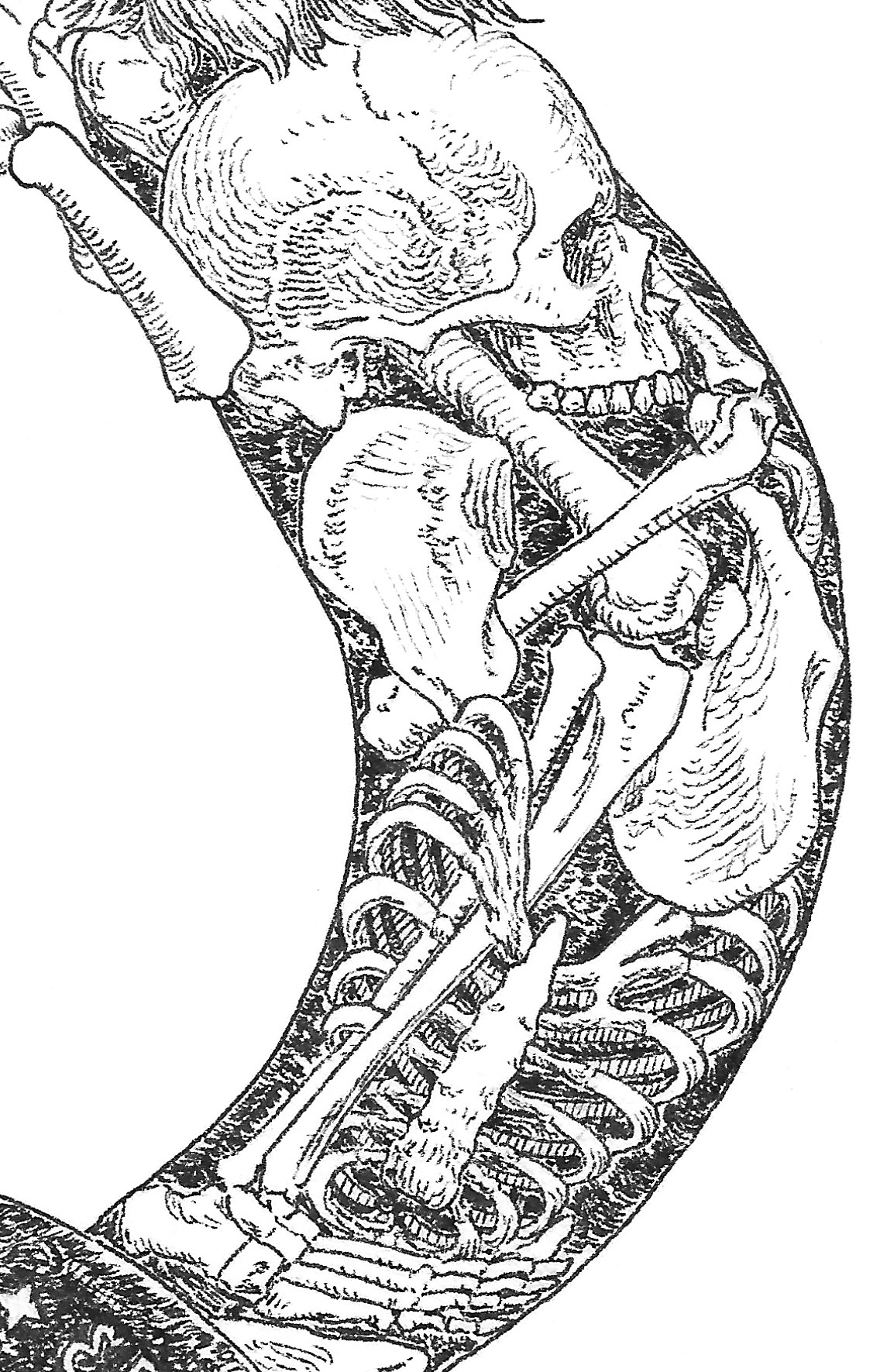 Jeremy Bastian - Cursed Pirate Girl - The Heraldic coat of arms of CPG ...