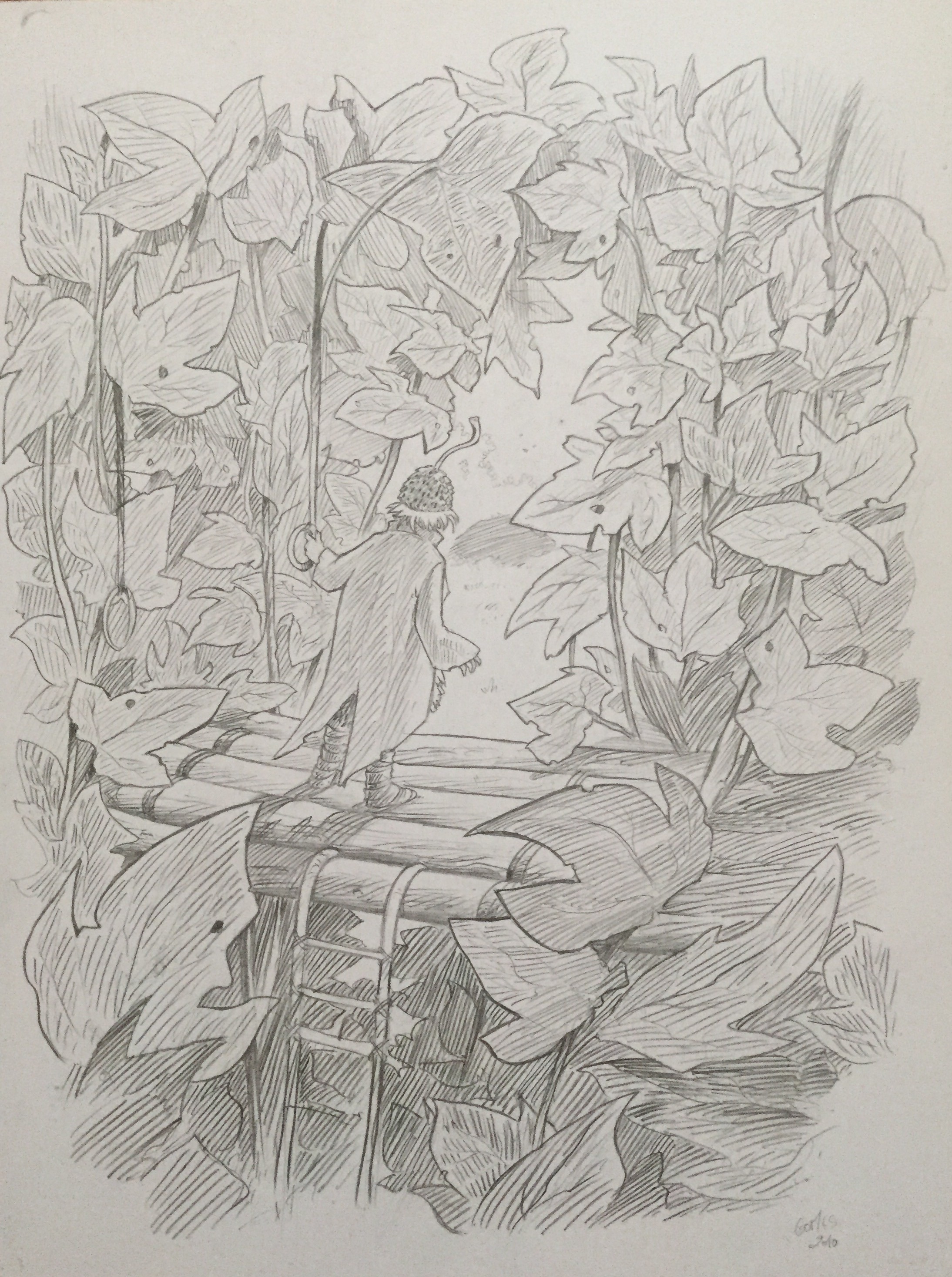 François Gomès, Couverture Tom Patate - Original Cover