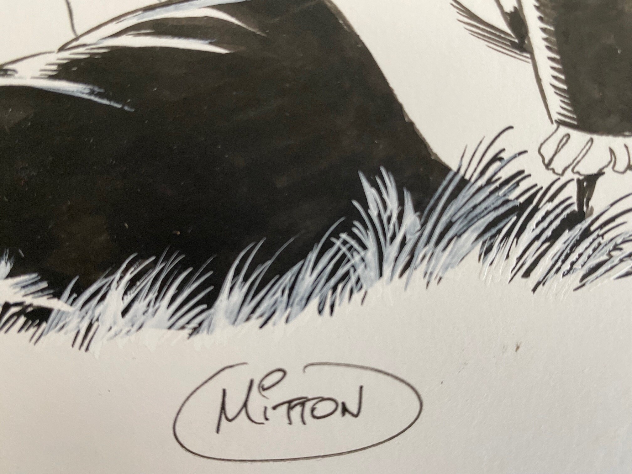 Blek - Page de Garde édition intégrale OW - Mitton - Illustration originale