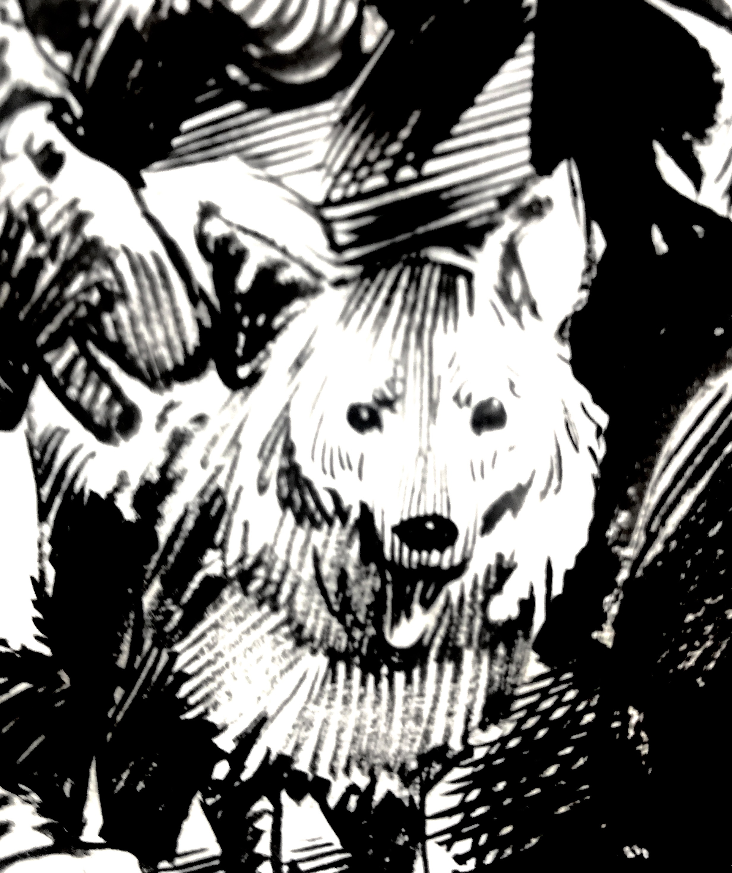 Guido BUZZELLI : Peary - Planche originale