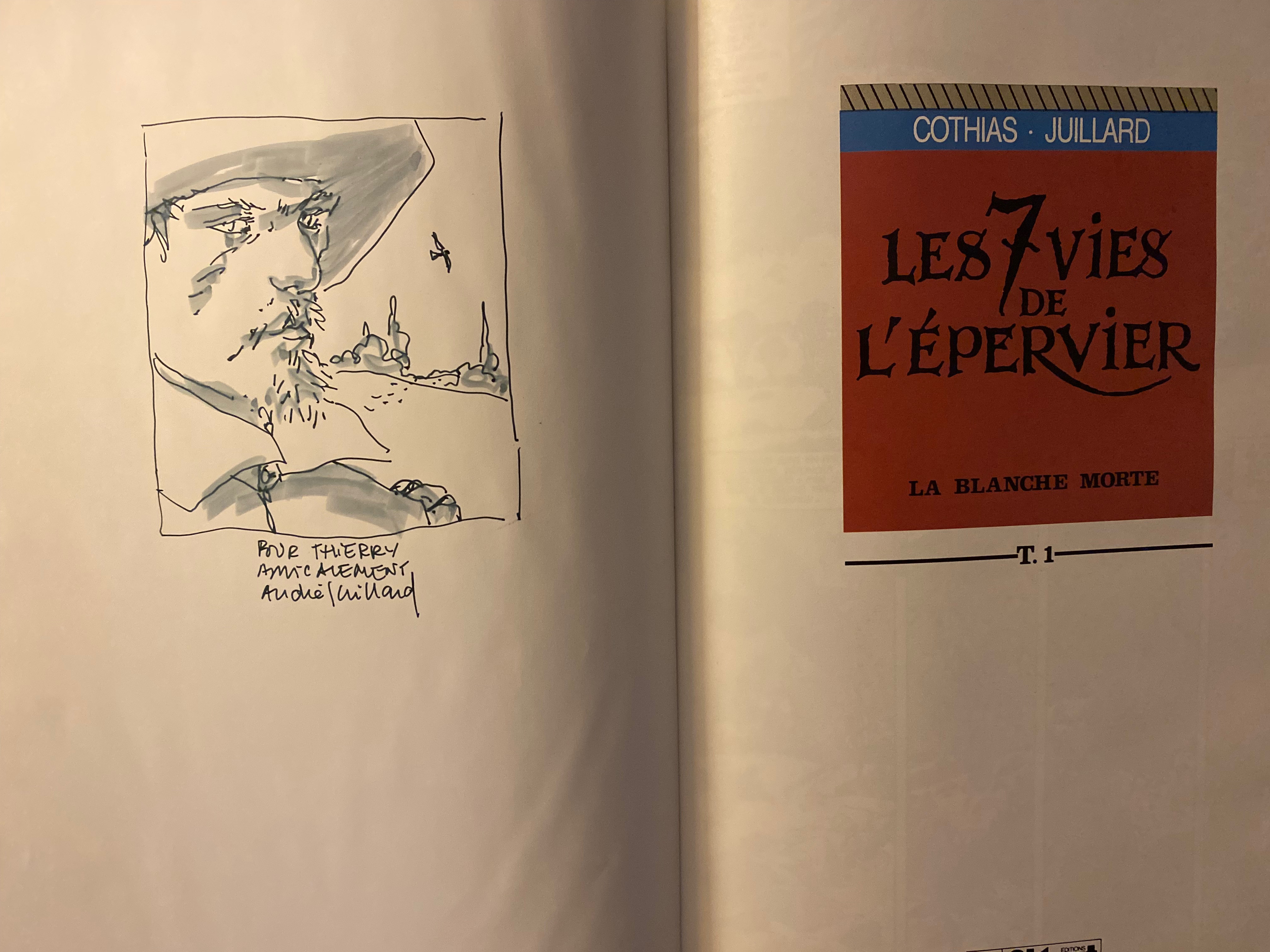 André Juillard, illustration originale, l'Epervier. - Illustration ...