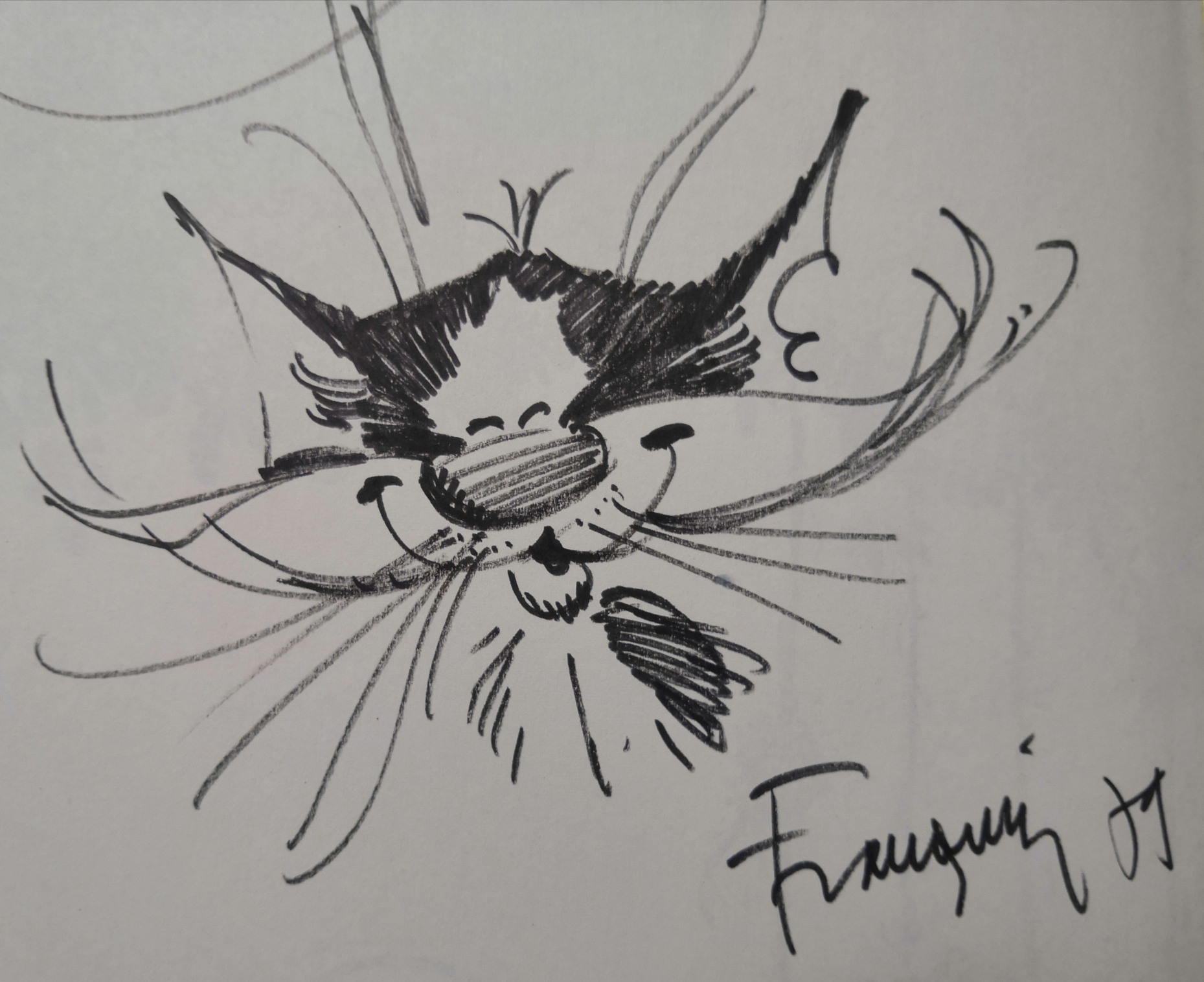 Chat par André Franquin - Dédicace