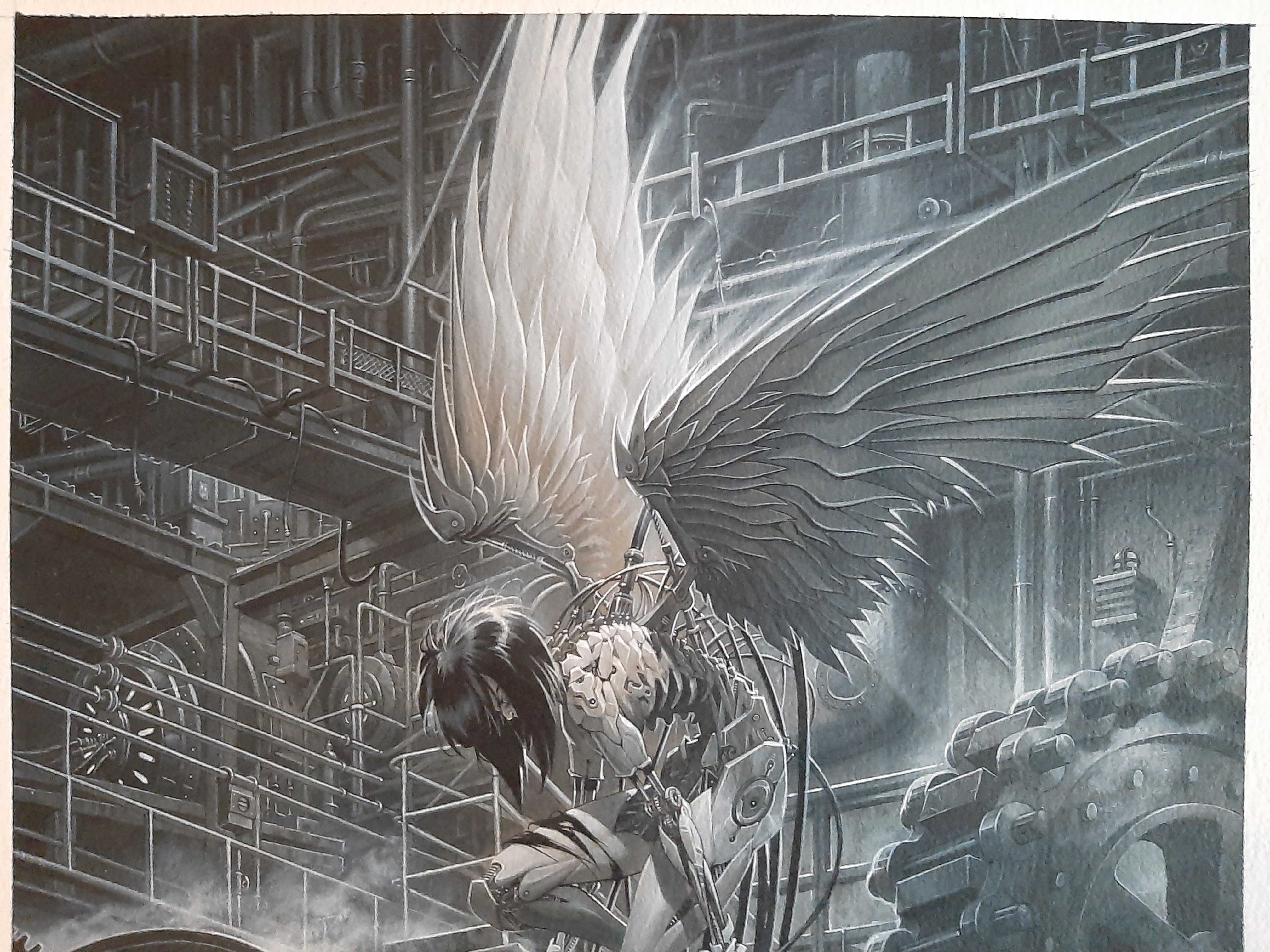 Gally par Anthony Jean - Illustration originale
