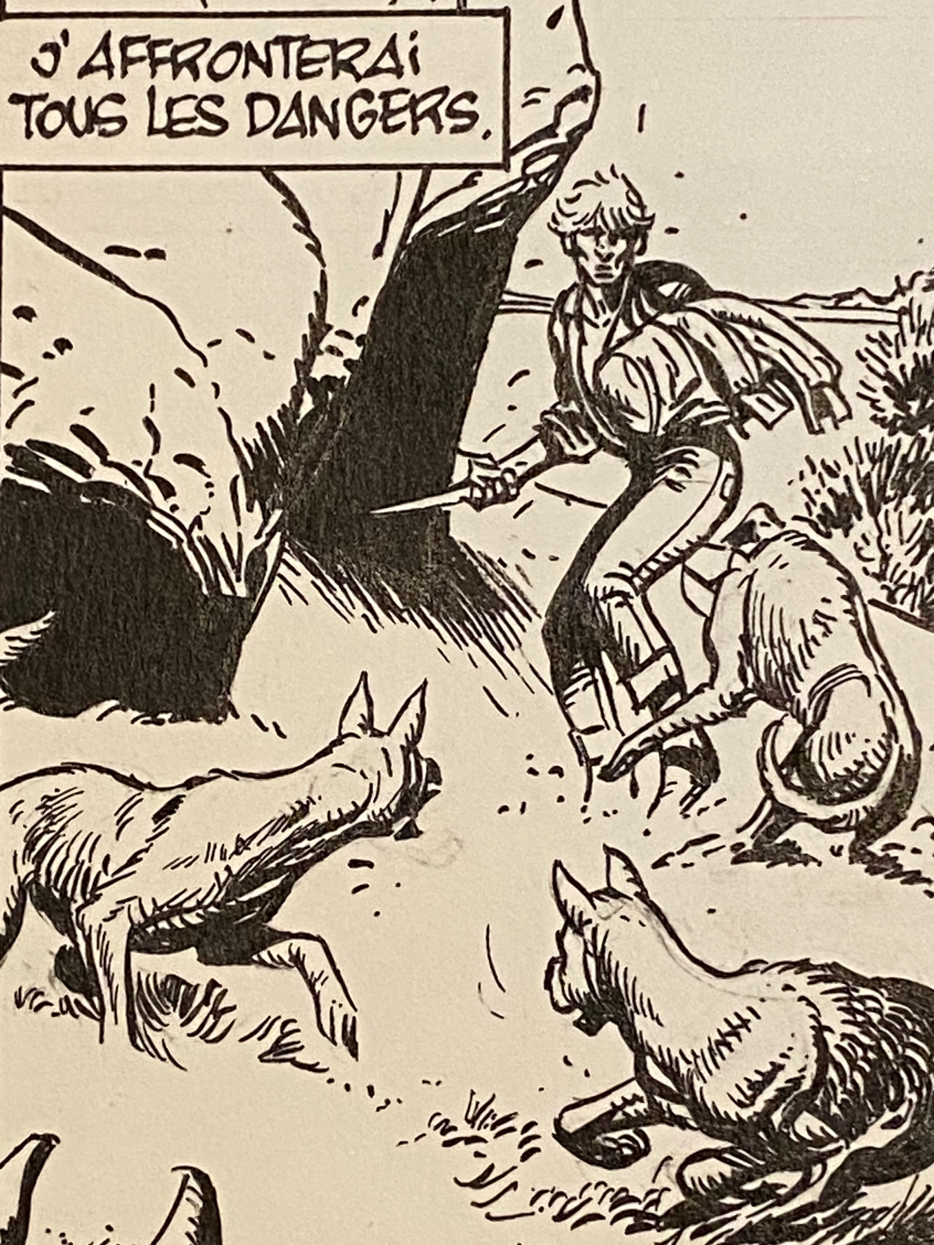 Franz, planche originale, Hannah, "le Secret des MacKenna". - Planche ...
