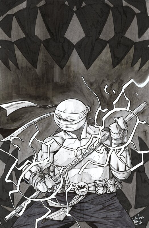 En vente - TMNT #145 COVER A par Viska - Couverture originale